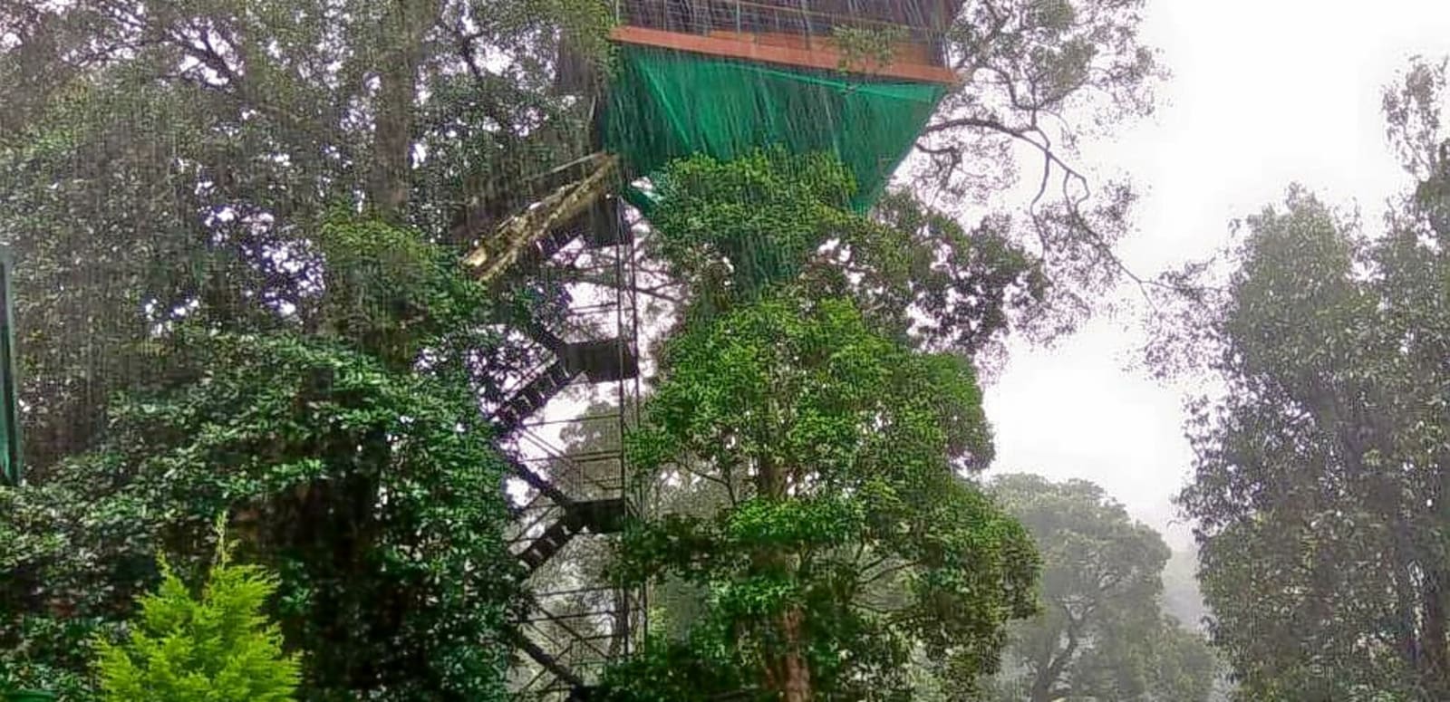 The Top 7 Homestays In Wayanad - Tripshark